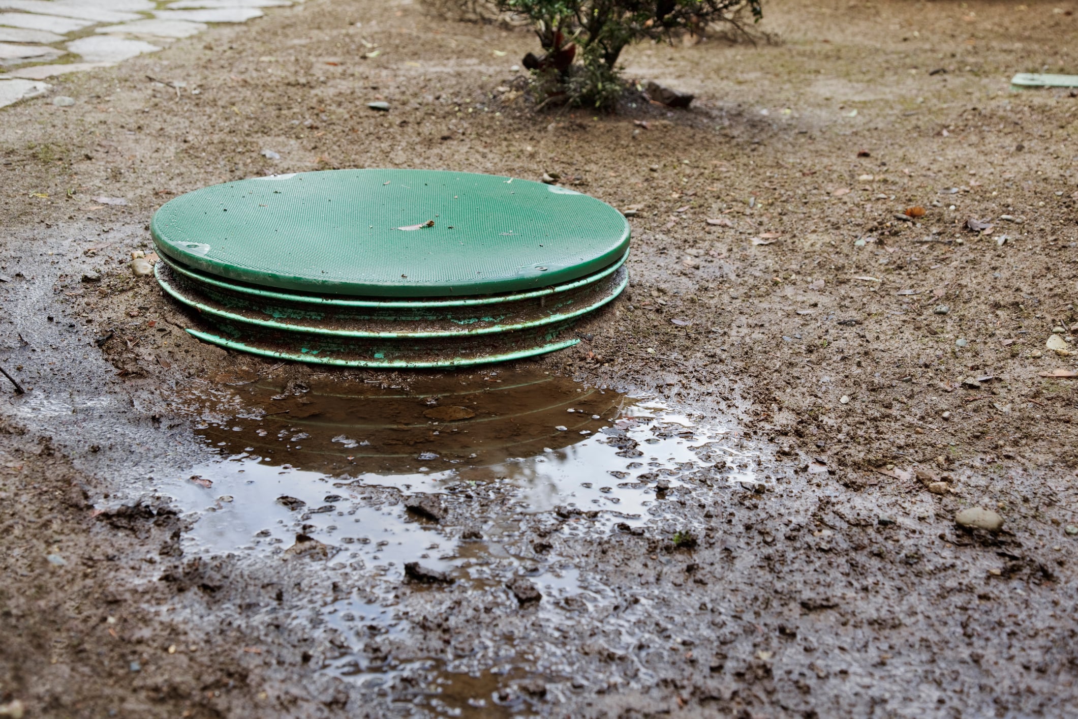 What to Do if Your Septic System Fails | Wind River Environmental